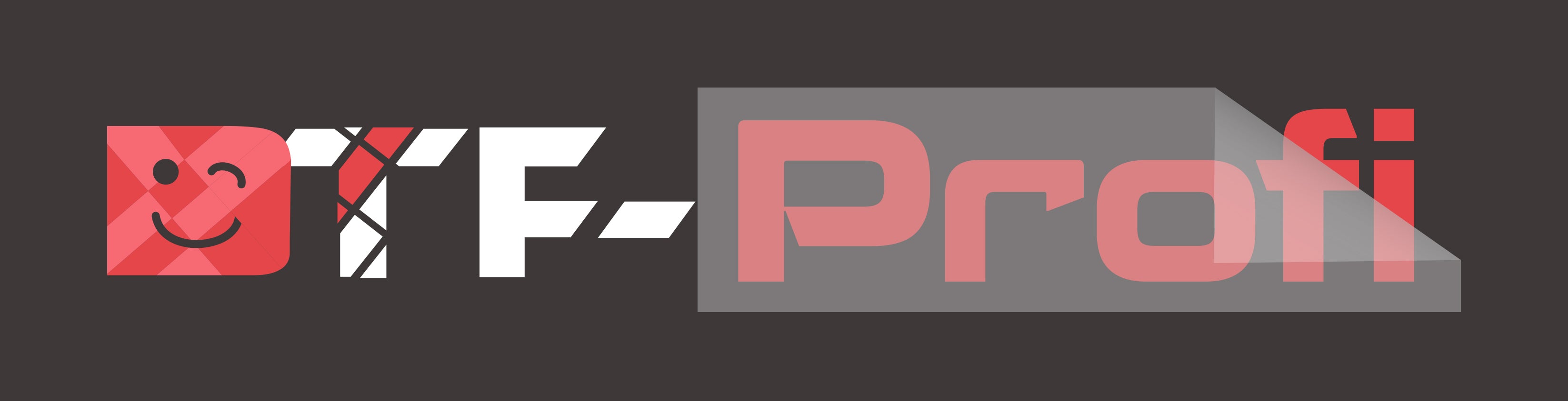 Vorstellung: Wer ist der DTF-Profi ? – DTF PROFI